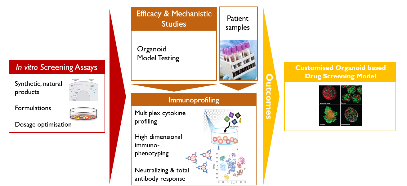 Technology - GO POSB Organoids